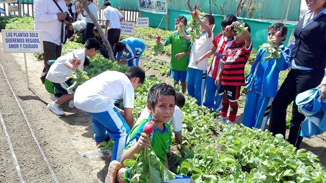 Promueven biohuertos con sistema de riego tecnificado en 10 escuelas de ...