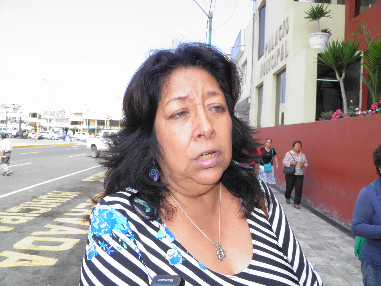 Virtual congresista María Elena Foronda busca elaborar agenda única ...