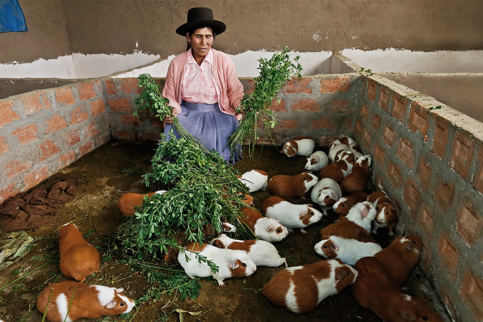 En 26 años Foncodes financió 60 mil proyectos en zonas rurales de todo ...